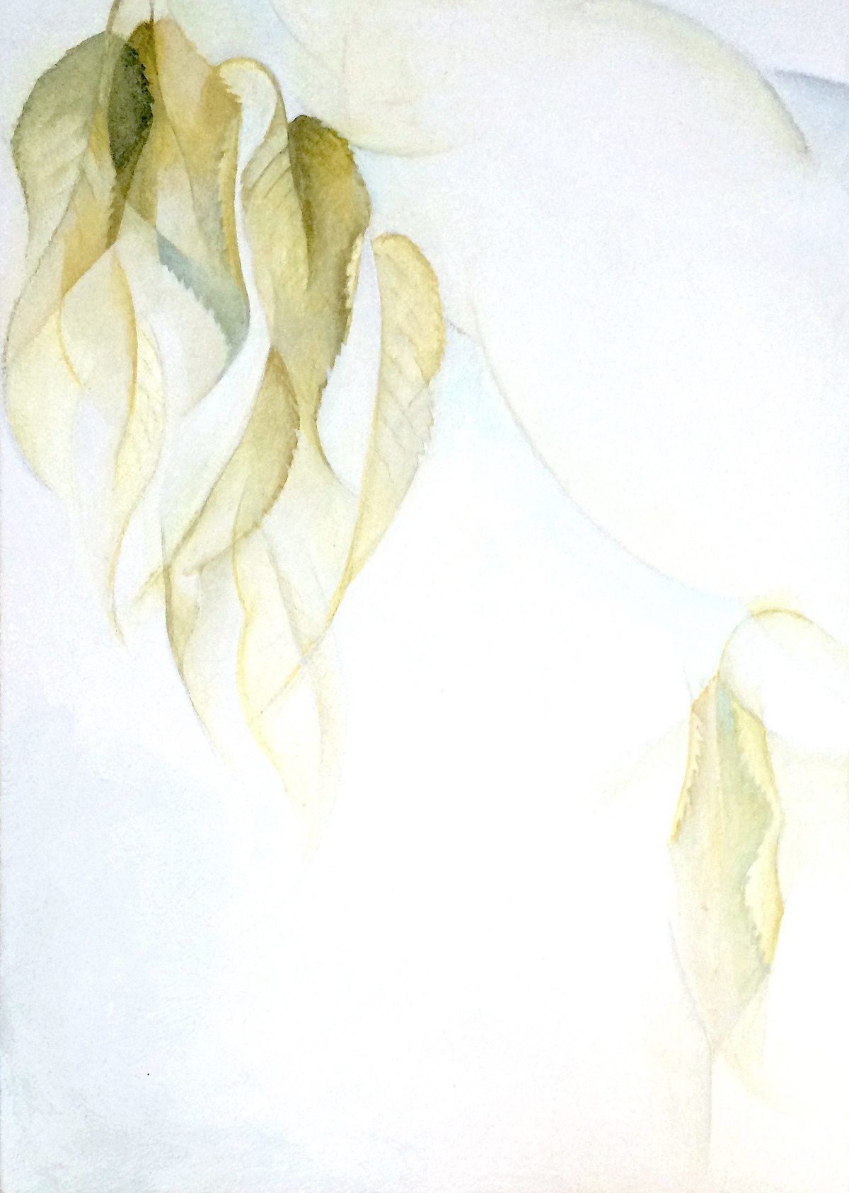 Leaf Study II by Sarah Goldbart | Buy Art Online | Rise Art