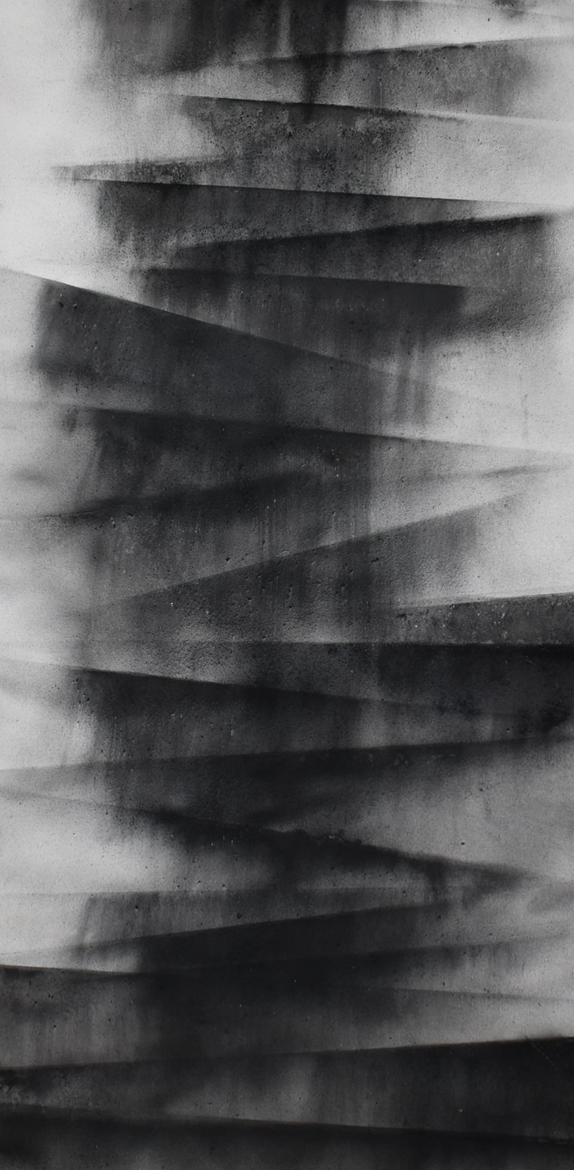 Fall by Nigel Bird | Buy Art Online | Rise Art