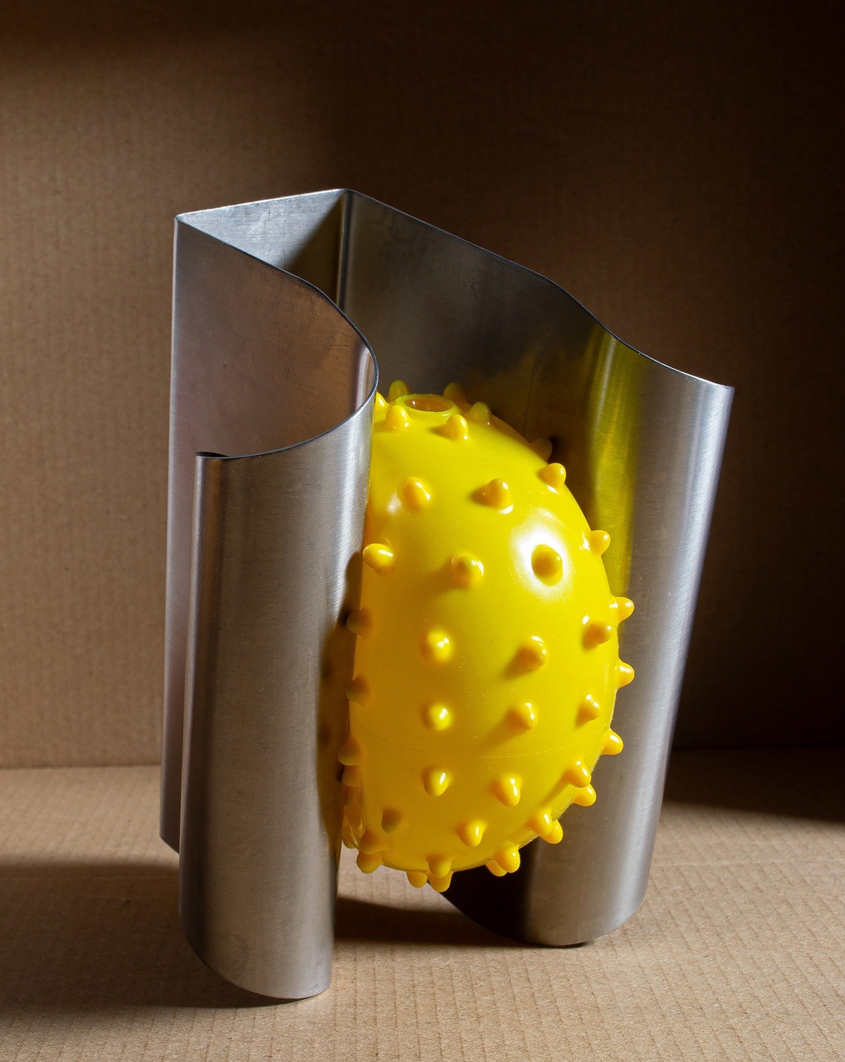 Spring Squeeze by Sam Haynes | Buy Art Online | Rise Art