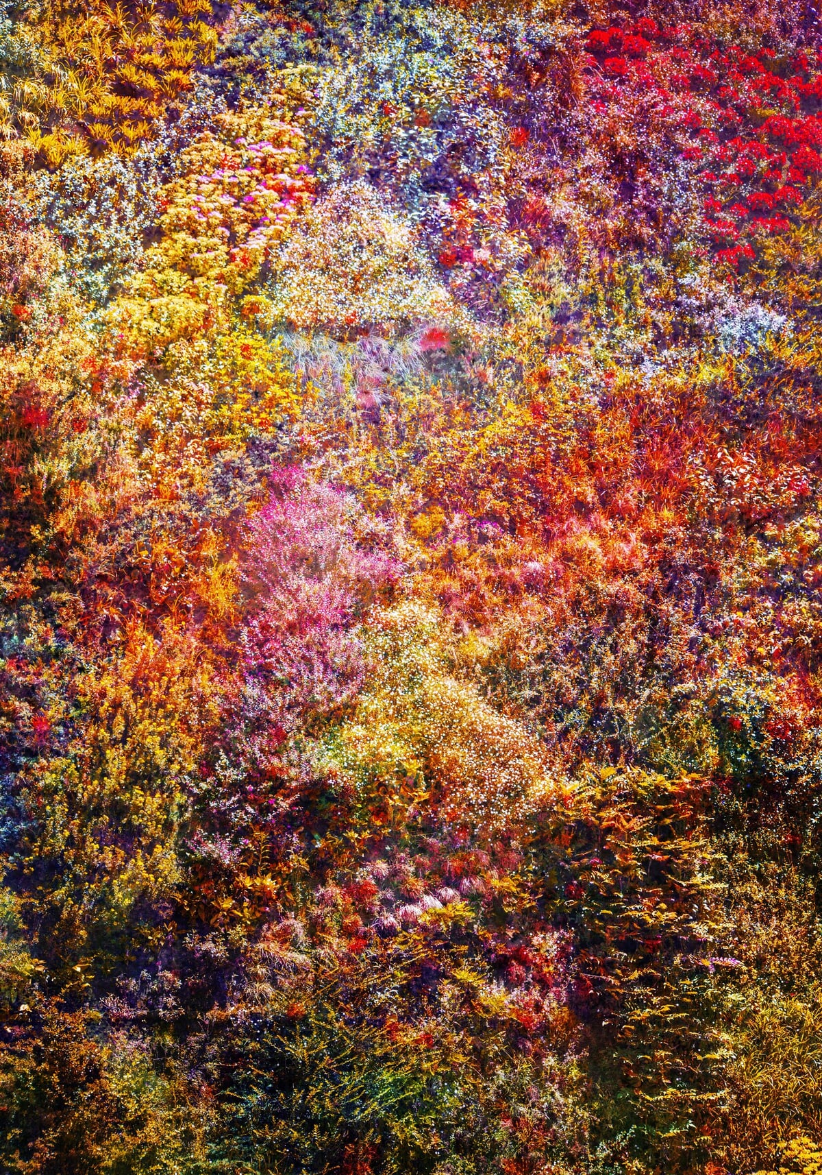 (Masterpiece Edition) Wall of Nature XXIX von Viet Ha Tran | Kunst ...