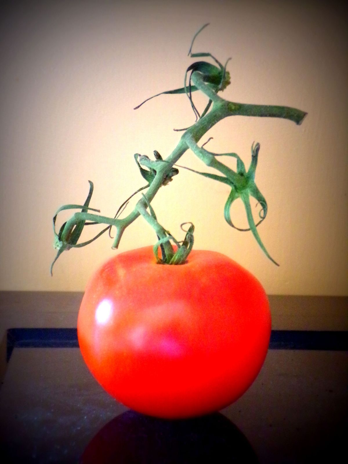 La tomate rubis by Marie SAKSIK | Buy Art Online | Rise Art