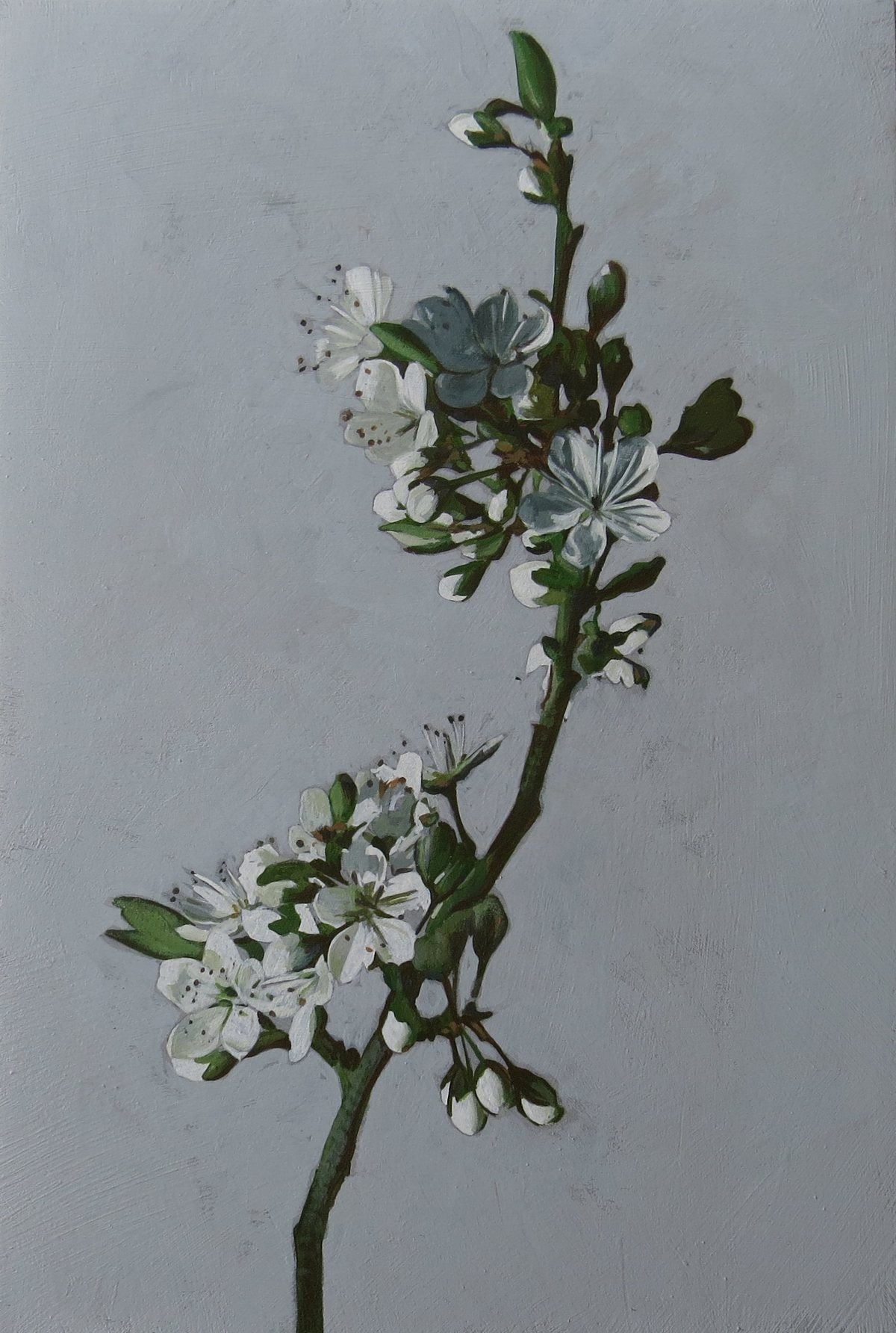Spring blossom II by Simon M Smith | Buy Art Online | Rise Art