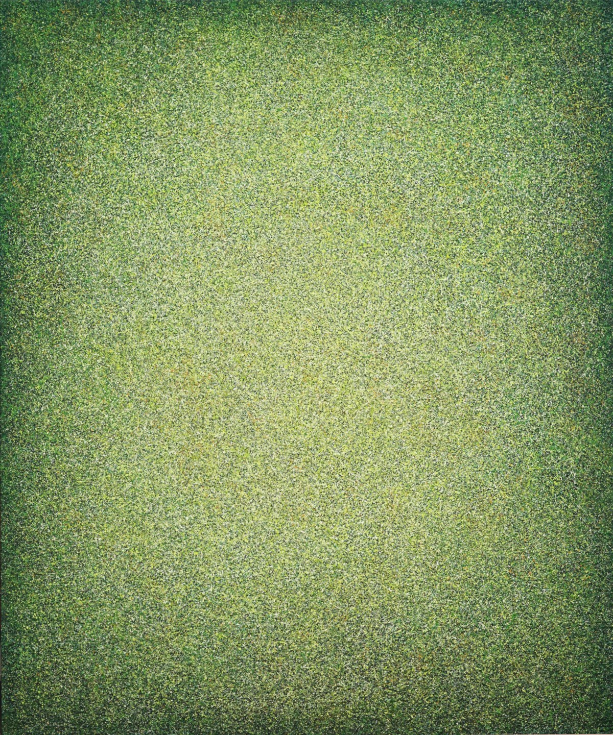 Breathing Green by Heidi Thompson | Buy Art Online | Rise Art