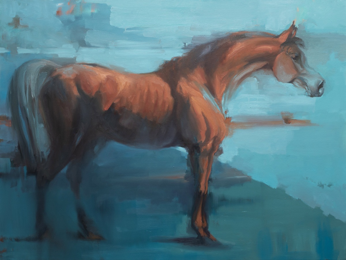 Equus Arabicus I by Zil Hoque | Buy Art Online | Rise Art