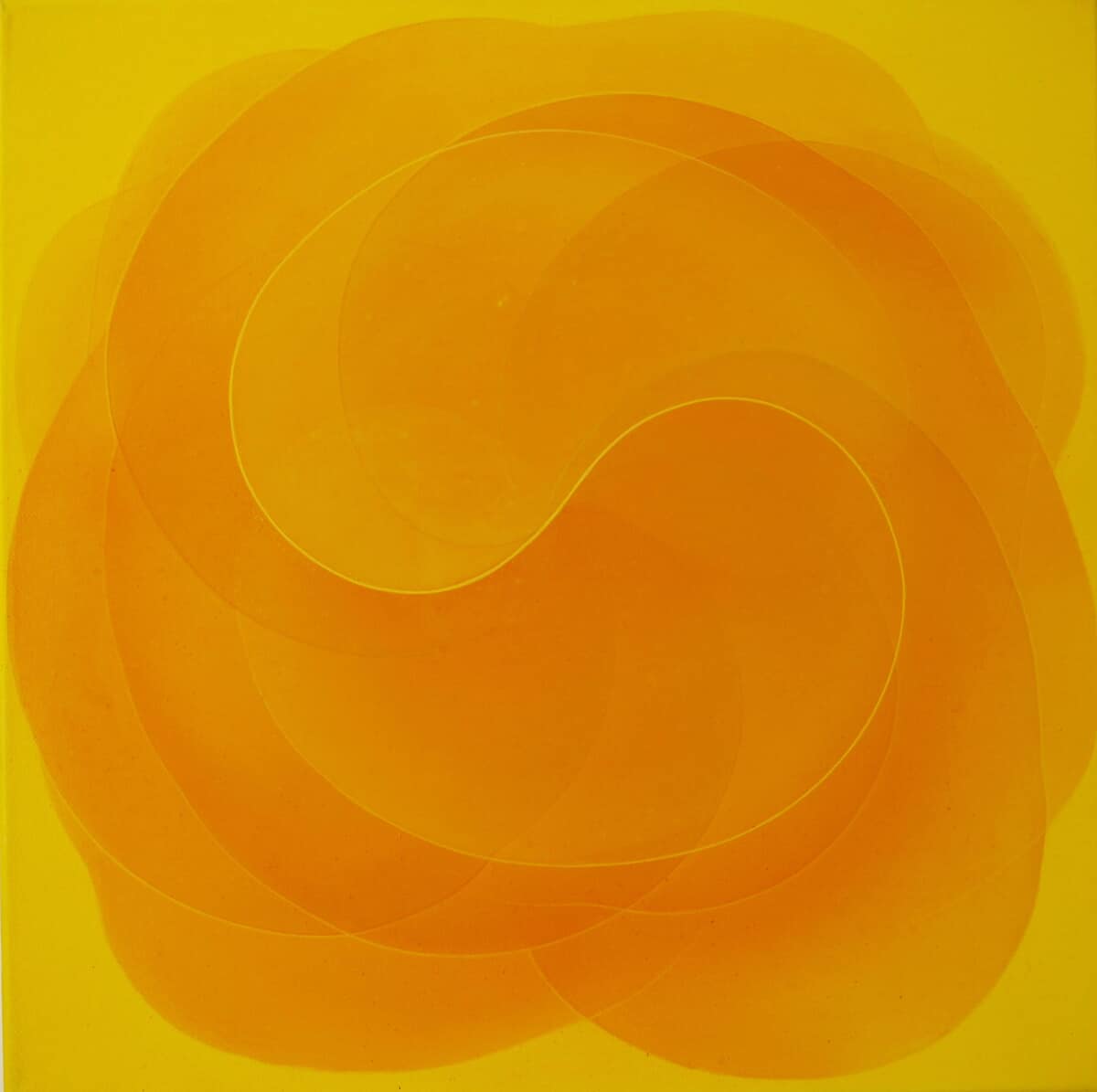 Yellow flower by Jitka Anlaufova | Buy Art Online | Rise Art