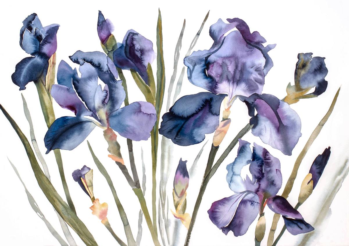 Irises par Elizabeth Becker | Acheter de l'art en ligne | Rise Art