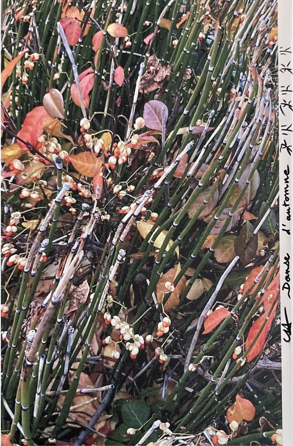 Danse de l'automne von Catherine Hoang | Kunst online kaufen | Rise Art