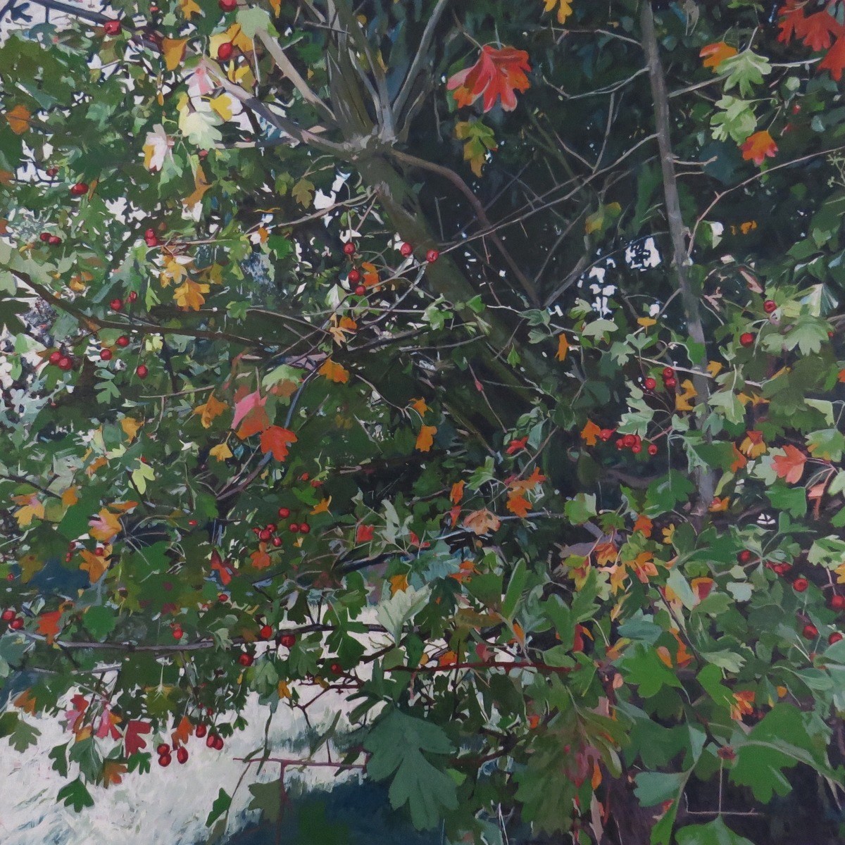 Hawthorn Tree by Simon M Smith | Buy Art Online | Rise Art