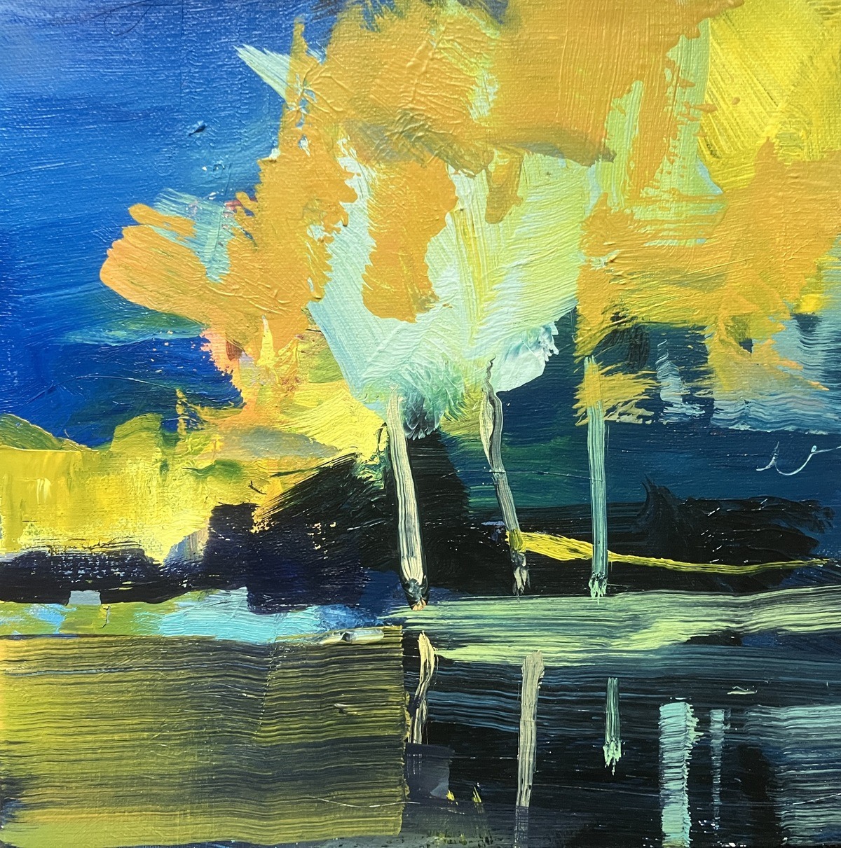 Flame Tree by Philip Tyler | Buy Art Online | Rise Art