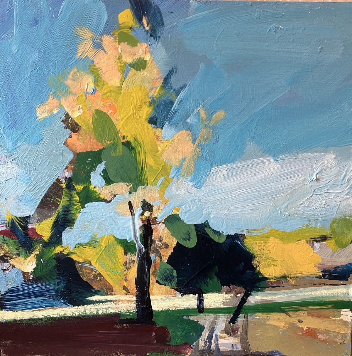 Flame Tree 13 by Philip Tyler | Buy Art Online | Rise Art