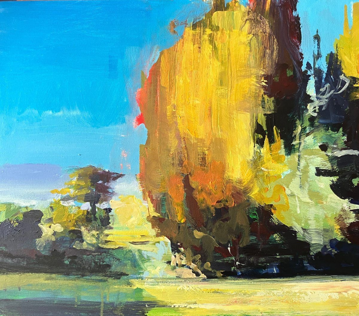 Flame Tree 14 by Philip Tyler | Buy Art Online | Rise Art