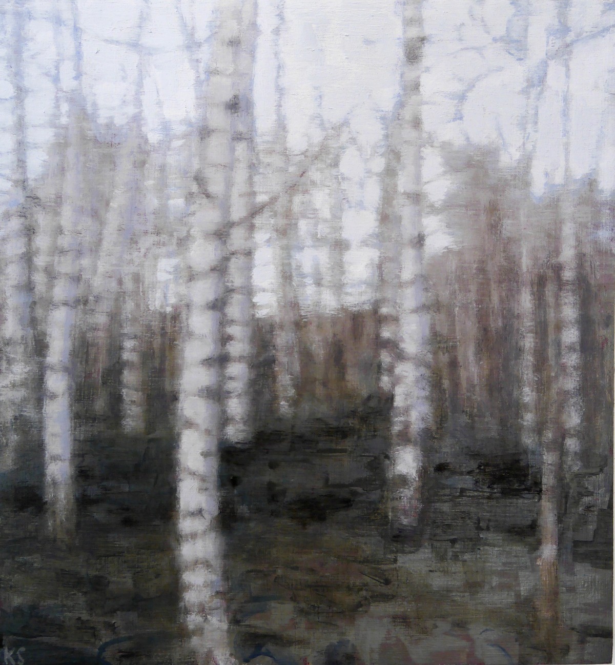 Birch, autumn (12) by Kate Sherman | Buy Art Online | Rise Art