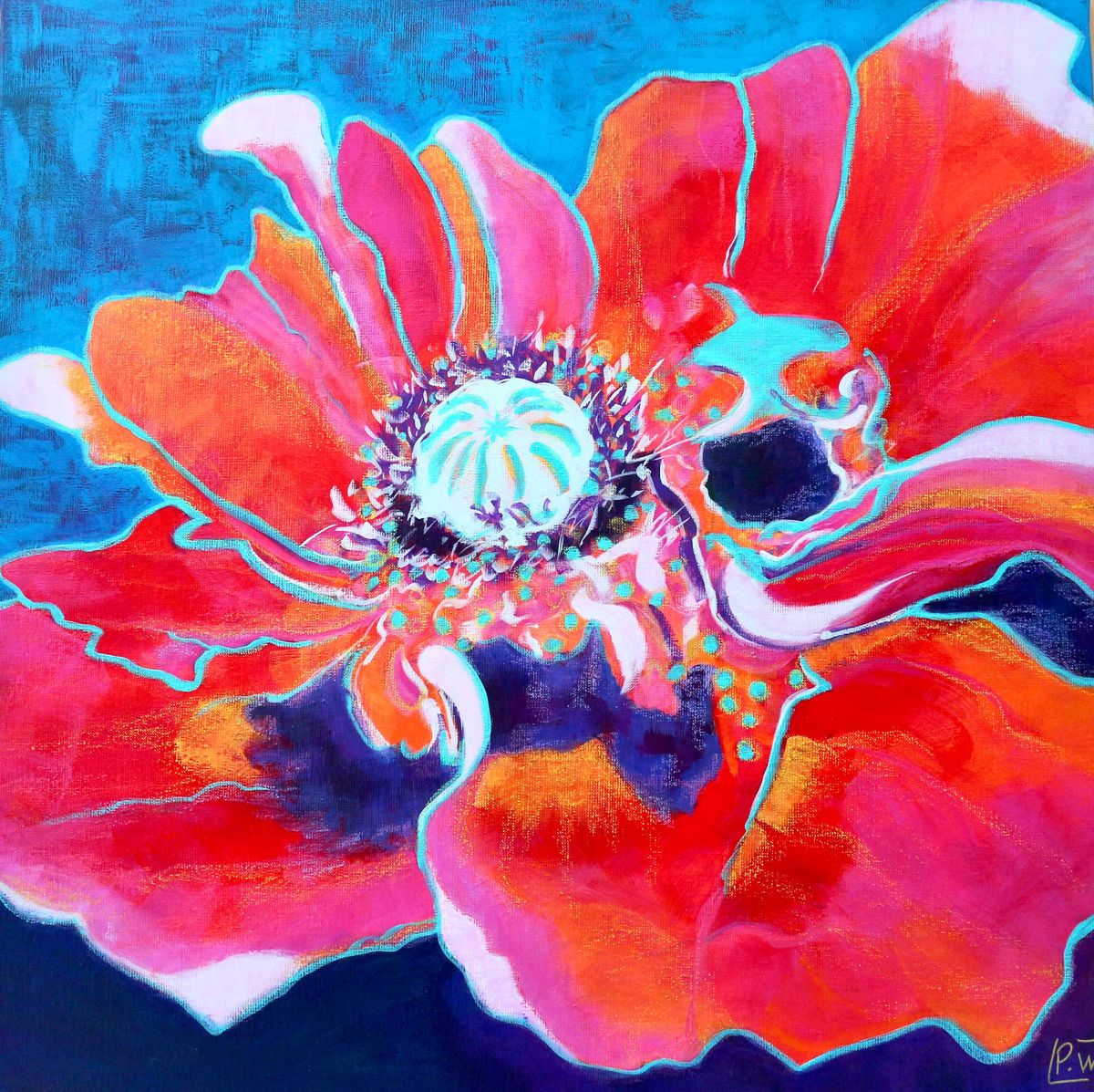 Garnet poppy (1) by Pascale White | Buy Art Online | Rise Art