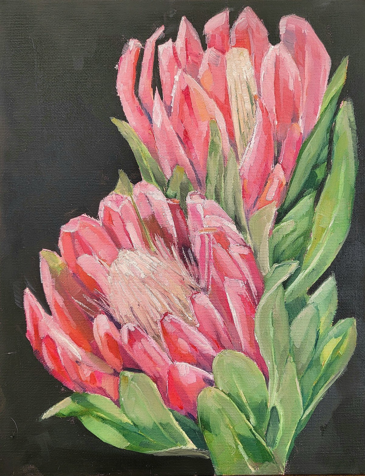 Protea Flower, siple modern Stilllife by Diana Krinninger | Buy Art ...