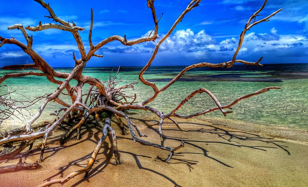 Anse des châteaux 2 - Guadeloupe by Leroyphoto | Buy Art Online | Rise Art