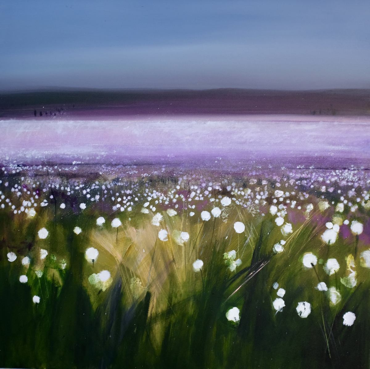 Bog Cotton by Fred Ingrams | Buy Art Online | Rise Art