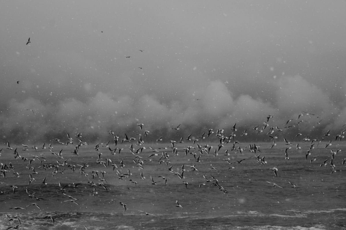 Storm par Yana Smietana | Acheter de l'art en ligne | Rise Art