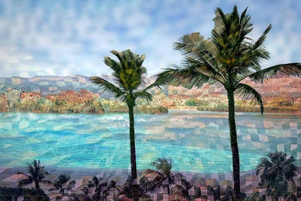 Sonoran Oasis by Reed Hearne | Buy Art Online | Rise Art