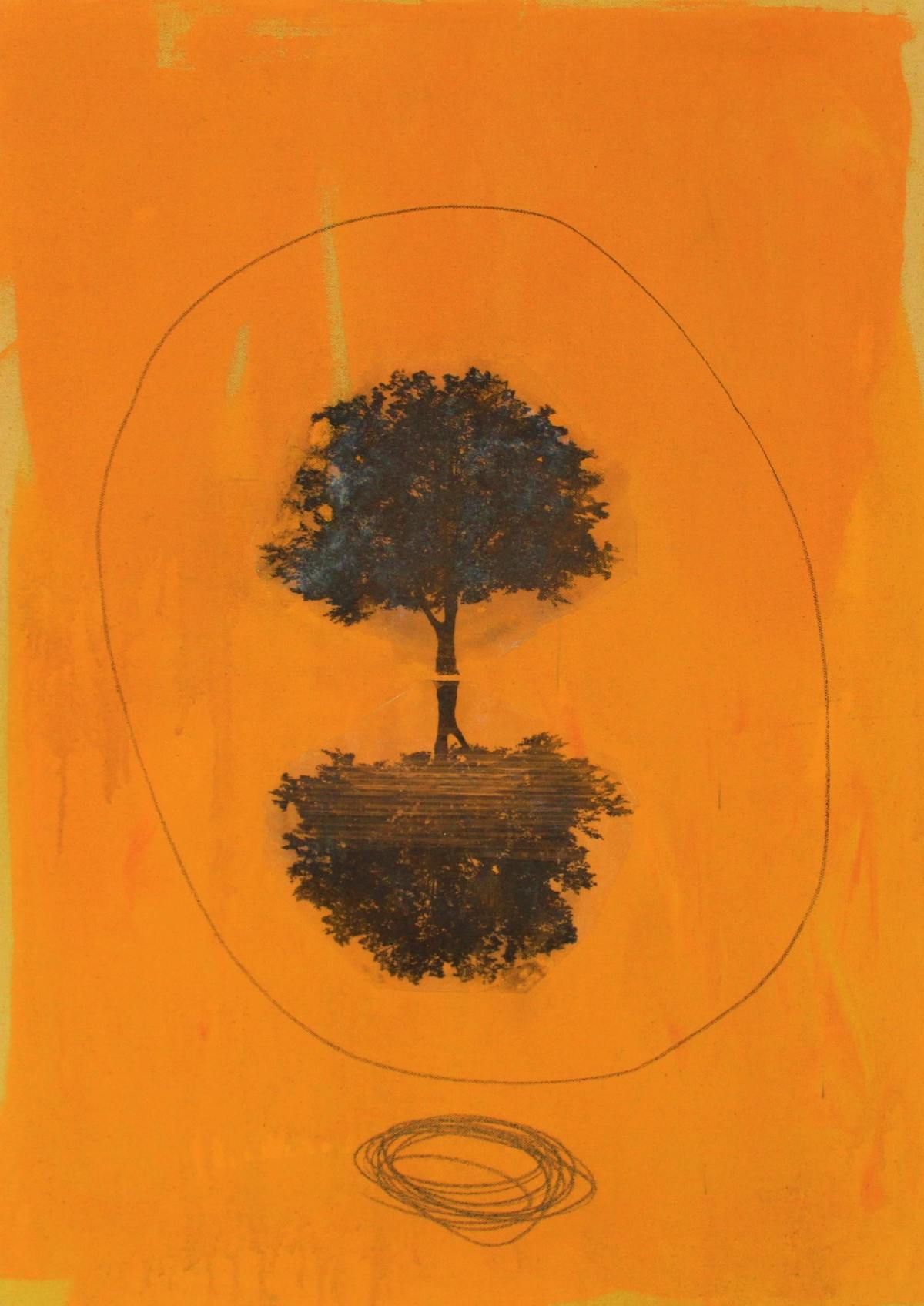 Watch Falling Acorns by Mark Burrell | Buy Art Online | Rise Art