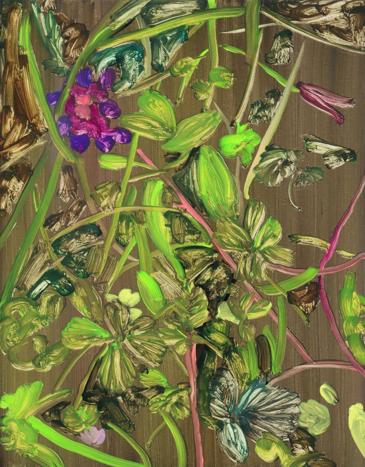 Ground Cover by Barbara Howey | Buy Art Online | Rise Art