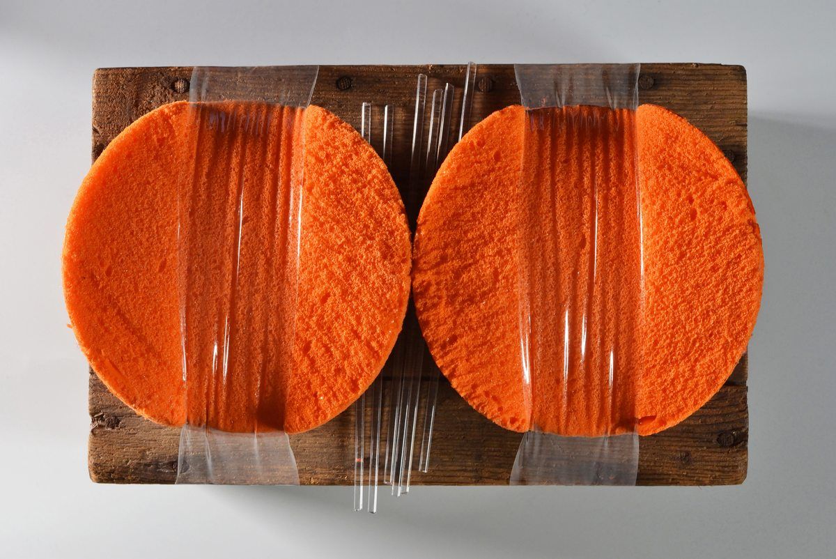 Cheek to Cheek by Sam Haynes | Buy Art Online | Rise Art