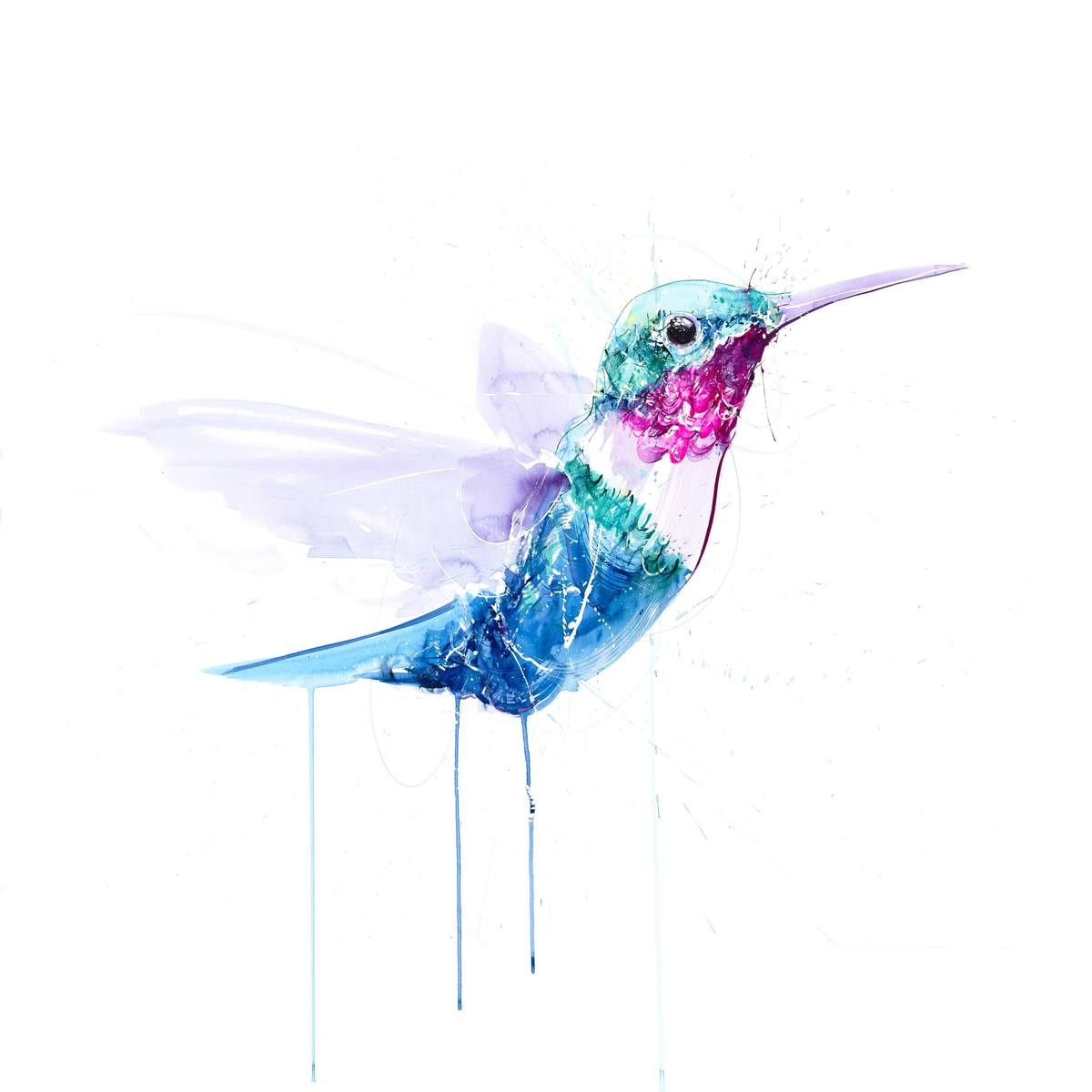 Hummingbird VII by Dave White | Buy Art Online | Rise Art