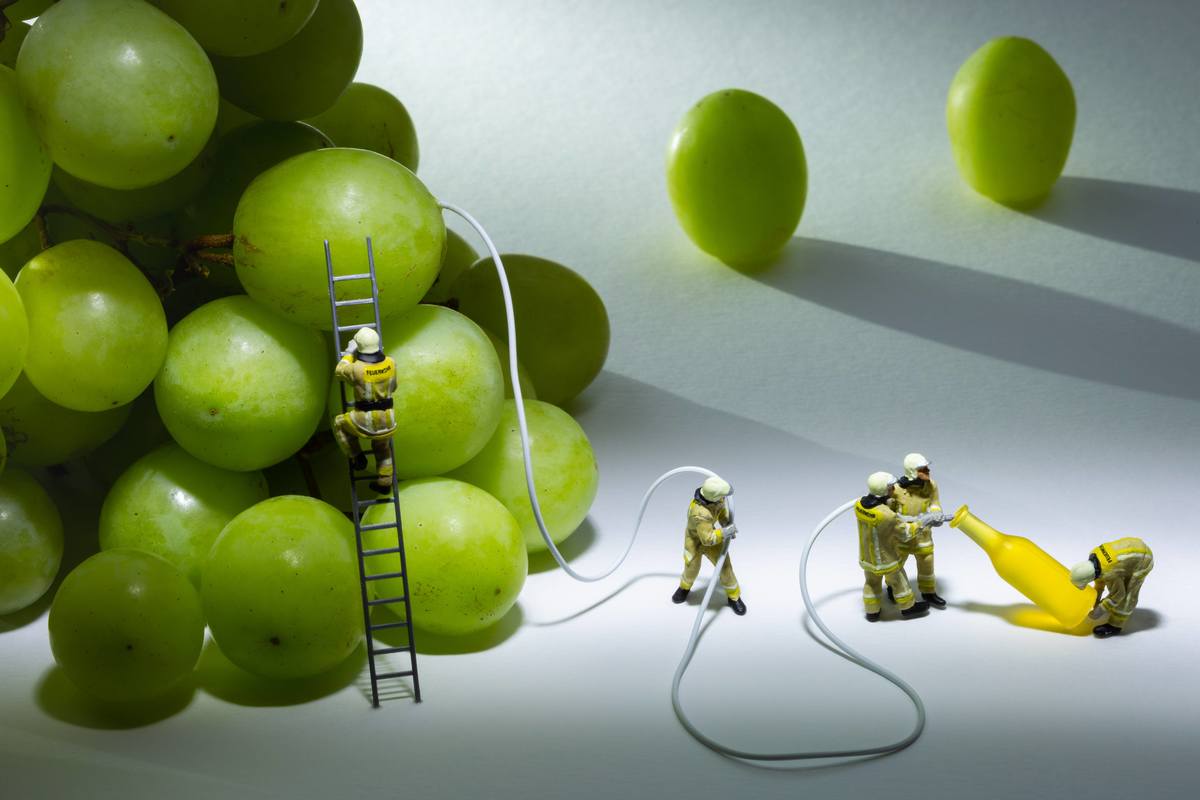 Wine EMERGENCY! by David Gilliver | Buy Art Online | Rise Art