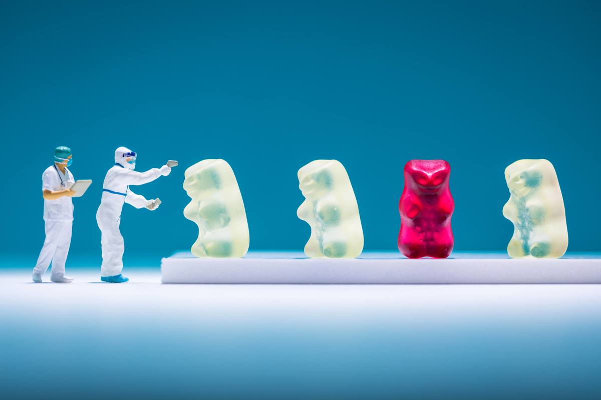 The Hunt for Red OctoBEAR by David Gilliver | Buy Art Online | Rise Art