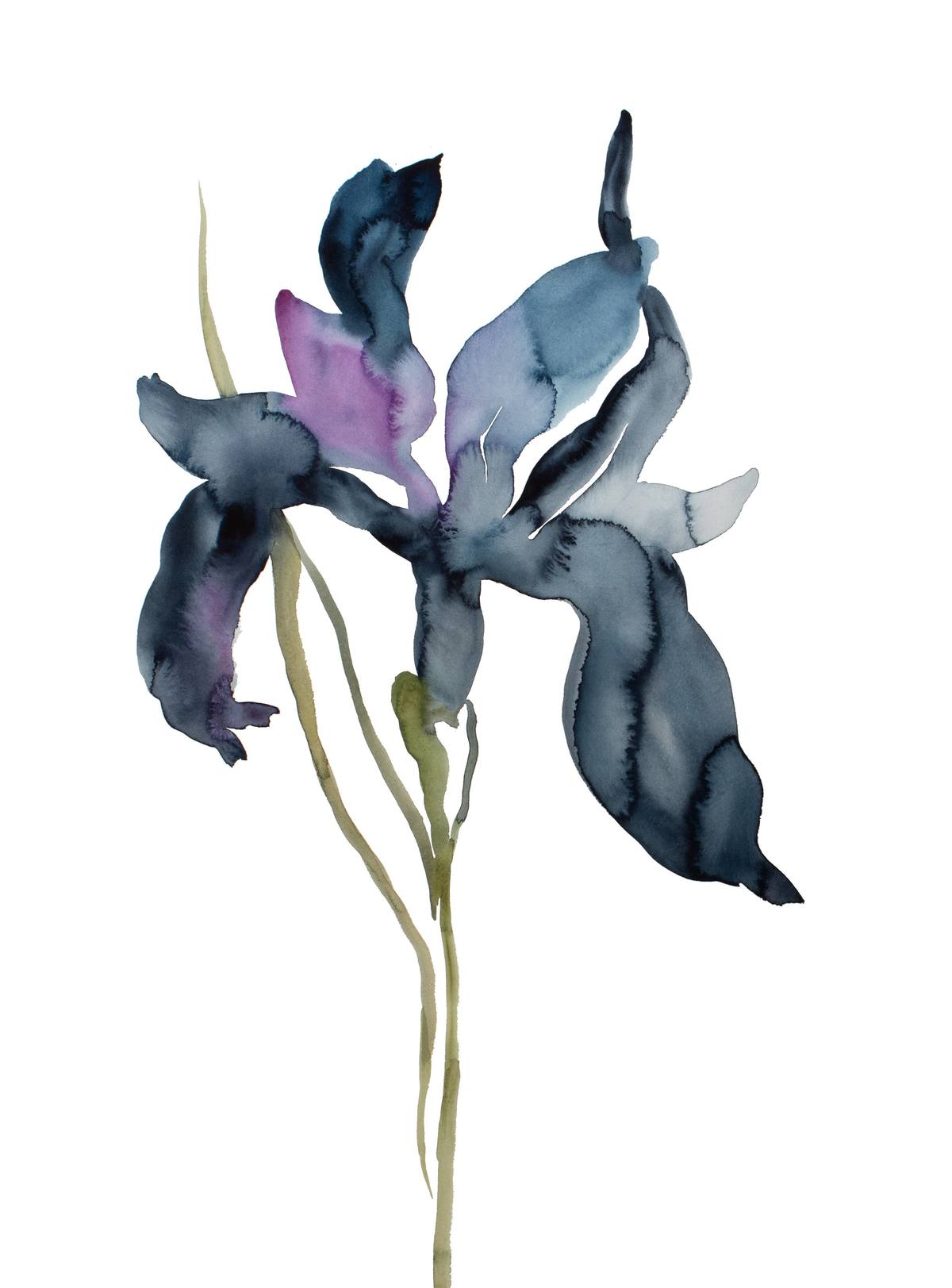 Iris No. 195 par Elizabeth Becker | Acheter de l'art en ligne | Rise Art