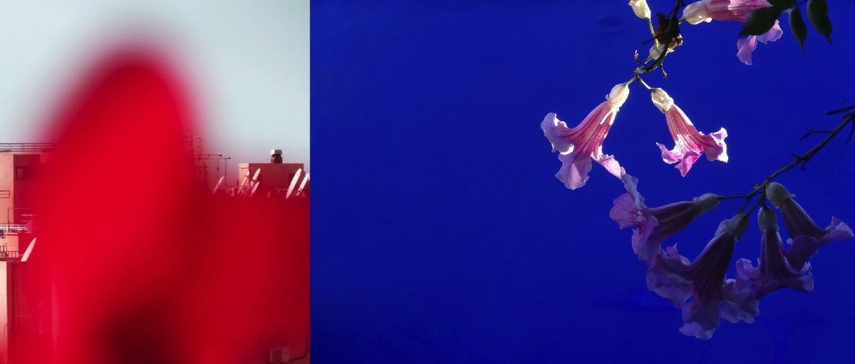 Urban Ecologies (Majorelle) par Jaykoe | Acheter de l'art en ligne ...