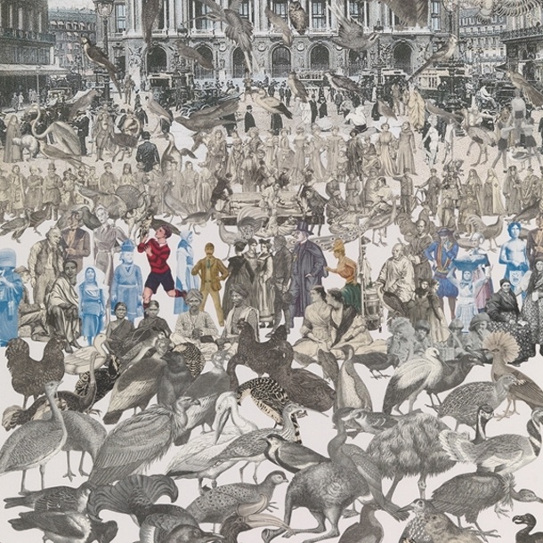 Birds by Sir Peter Blake | Buy Art Online | Rise Art