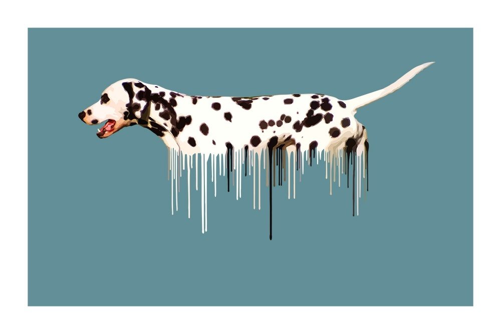 Dalmatian by Carl Moore | Buy Art Online | Rise Art