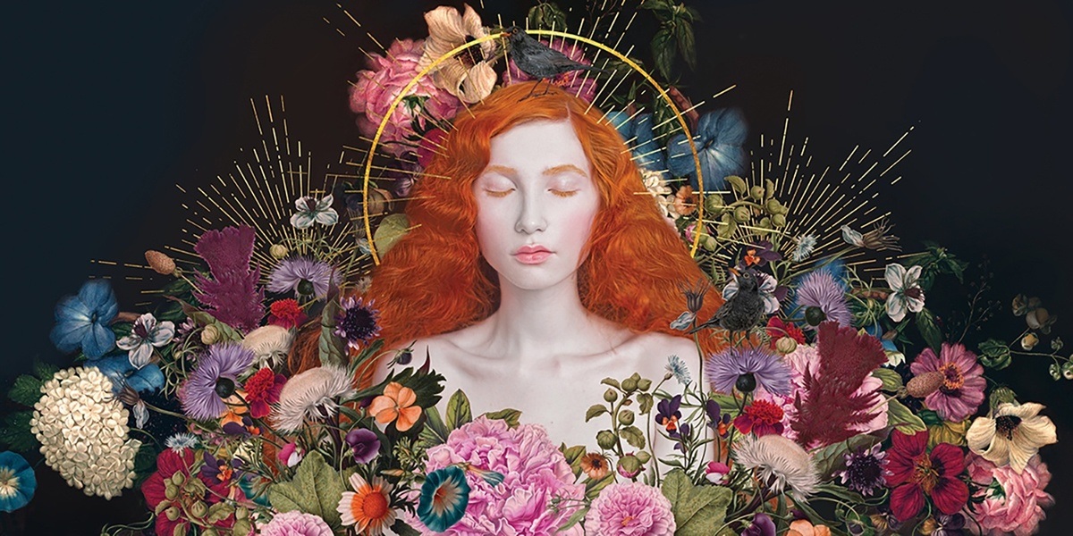 Omniscient by Alexandra Gallagher | Buy Art Online | Rise Art