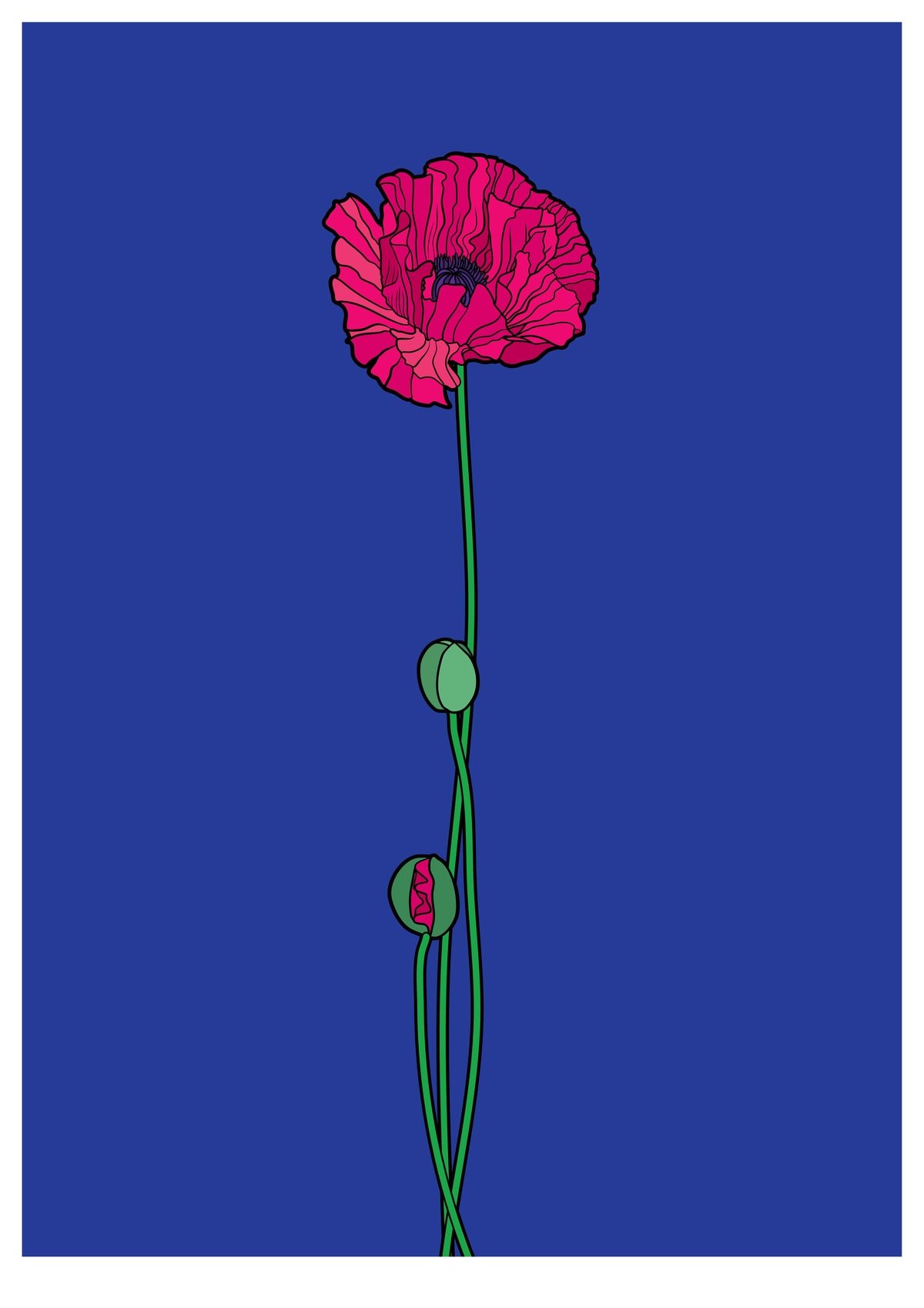 Poppy by Graphic Rewilding | Buy Art Online | Rise Art