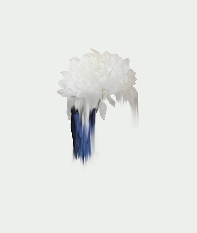 Allied In Nature III by Simone Ember | Buy Art Online | Rise Art