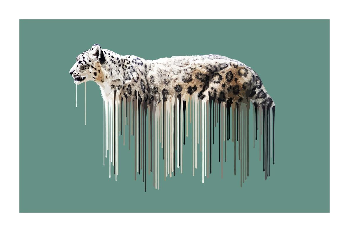 Snow Leopard - Sage by Carl Moore | Buy Art Online | Rise Art