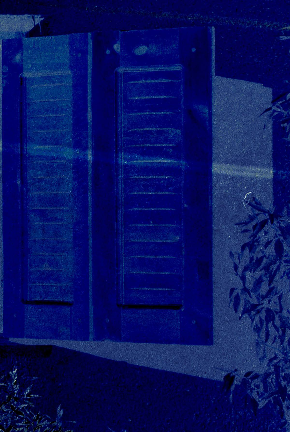 Evening Zeyphyr by Fatima Mian | Buy Art Online | Rise Art