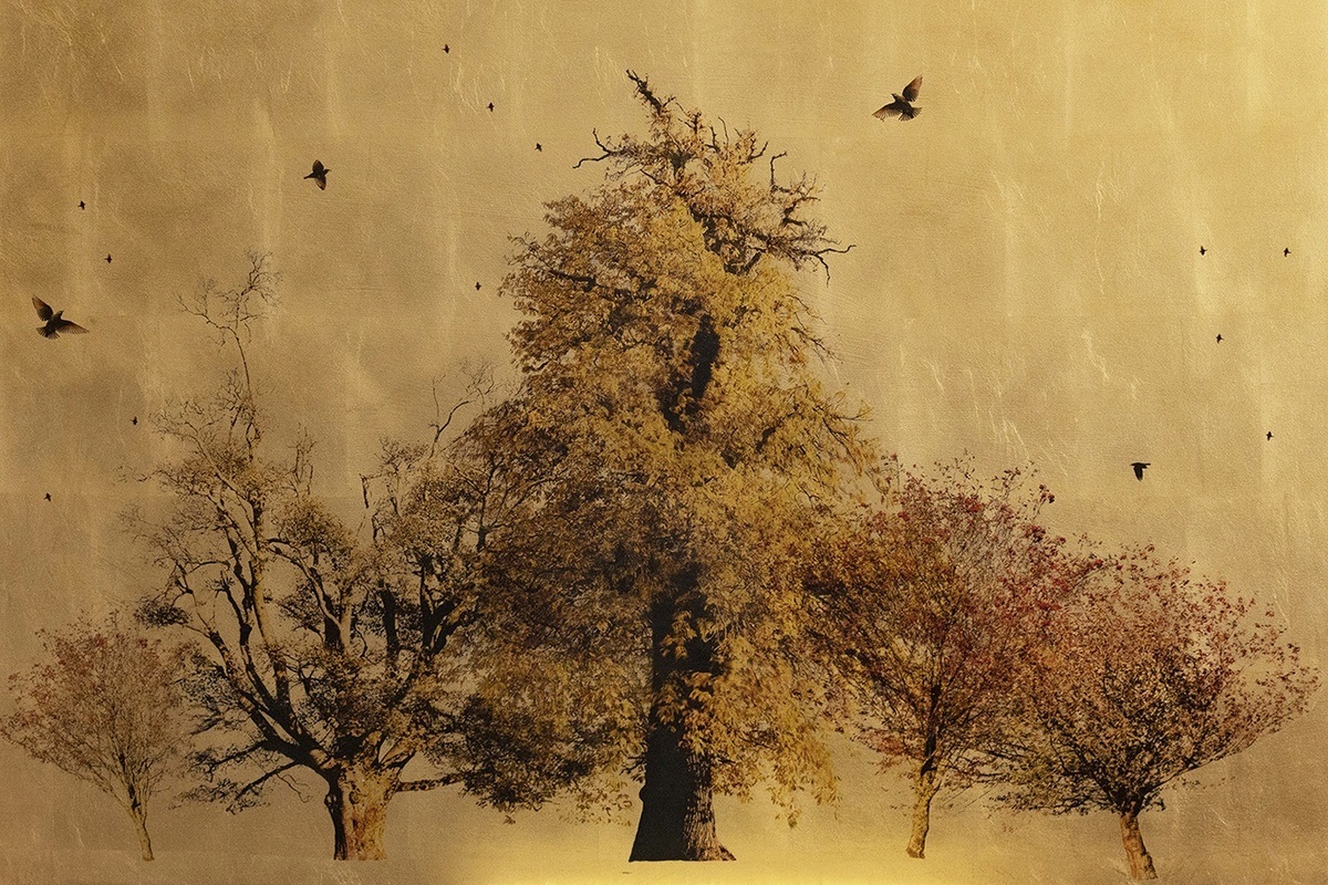 Autumn Arboretum In Excelsis I von Robert Pereira Hind | Kunst online ...