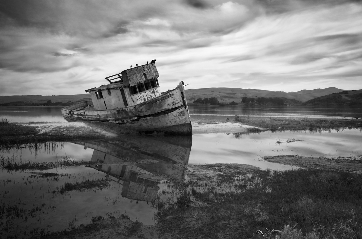 Rise Art’s Top 5 Contemporary American Artists | Rise Art